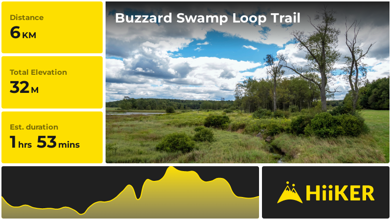 Buzzard Swamp Loop Trail | Forest County | Pennsylvania