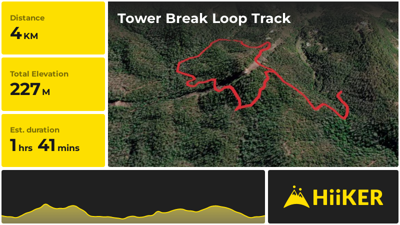 Tower Break Loop Track | Brisbane | Queensland